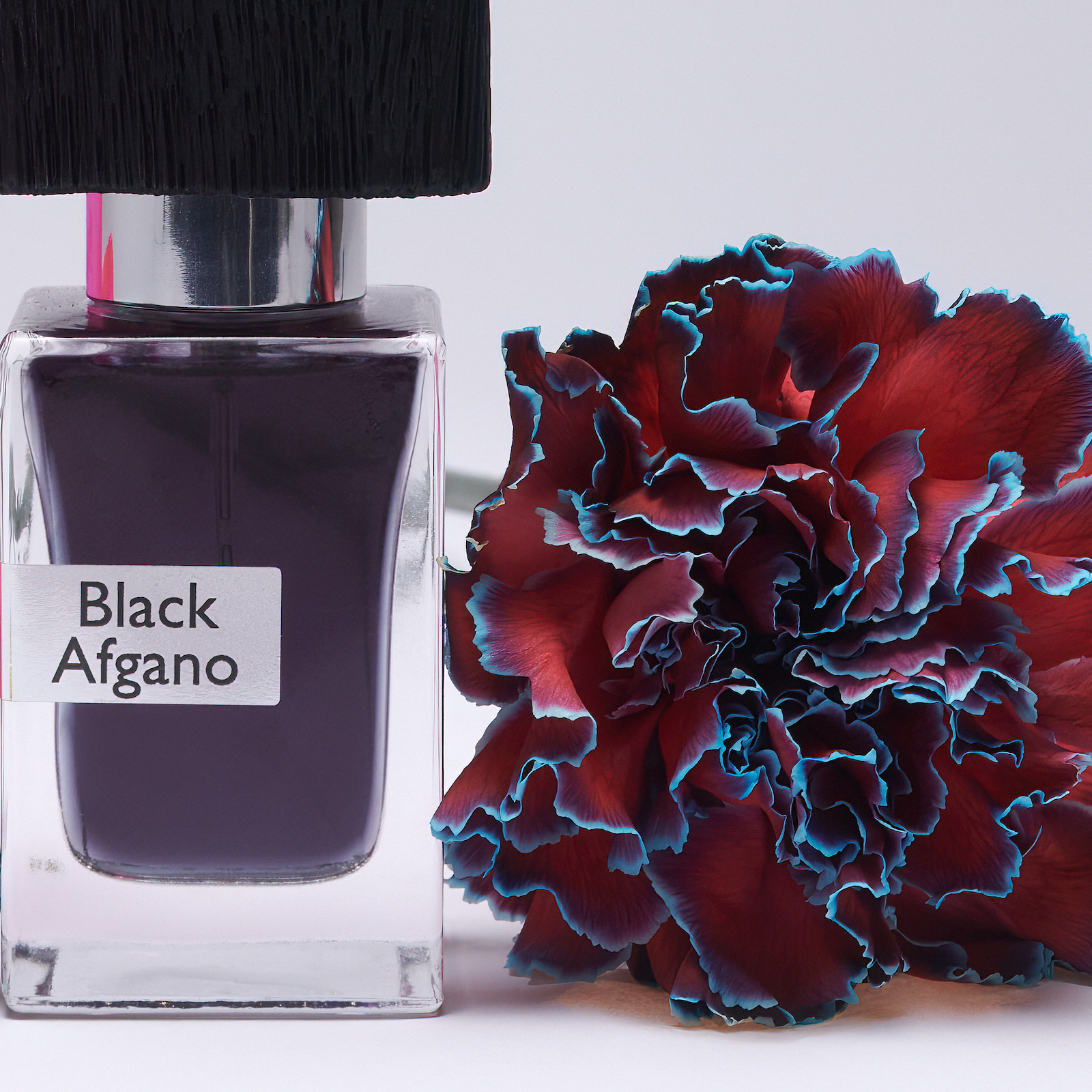 20 Bold, Statement Niche Perfumes • Perfume Lounge